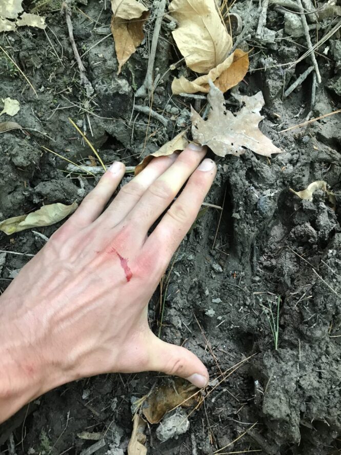 Big Buck Tracks - What Do They Look Like? (With Photos) | Buck Track ID