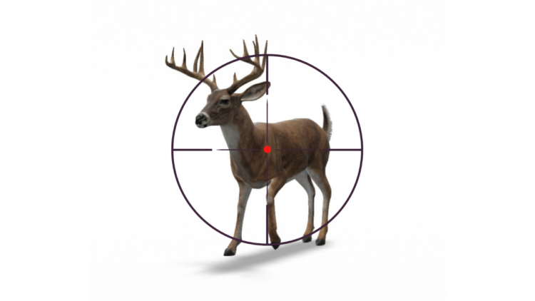 Where To Shoot A Deer | Best Shot Placement Locations (With Pictures)