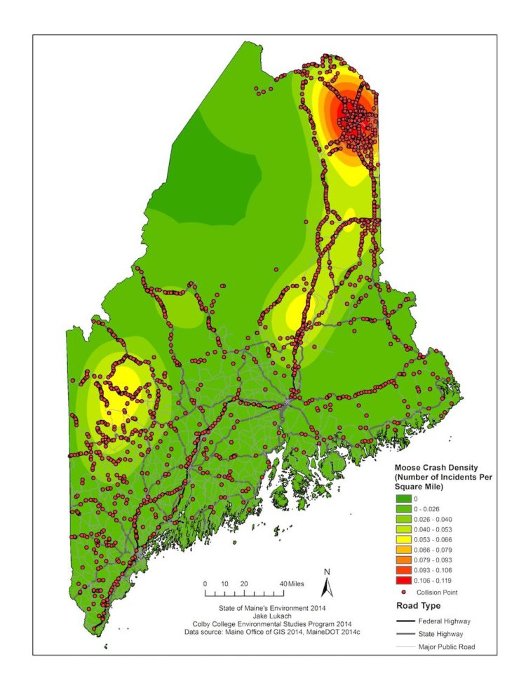 Where To See Moose In Maine (With Maps) | Jason Tome Outdoors
