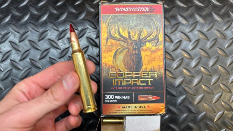 300 Win Mag vs 13 Popular Cartridges (Ballistic Tables & Graphs)